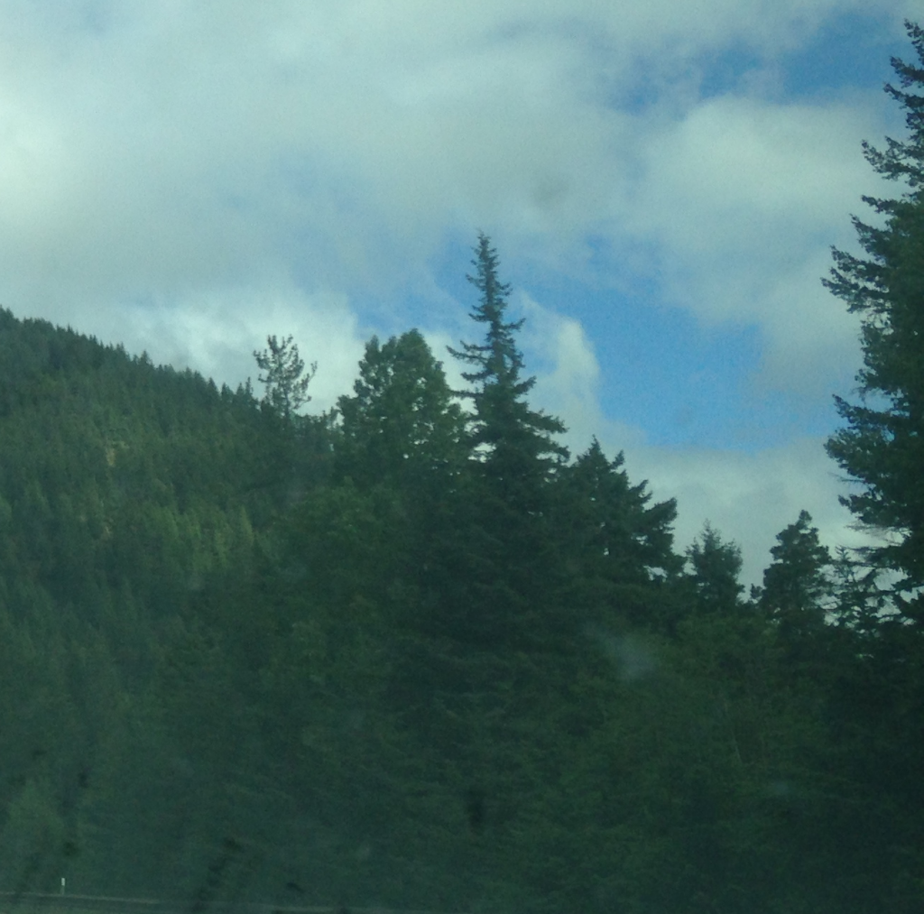 Electric Castle’s Wunderland Cinema & Games Offers Savings | Green ...