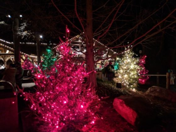 5 Best Ways to Spend Christmas in Richmond Virginia Area | Green ...